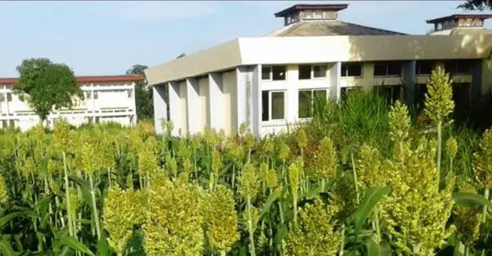 Faculté d’Agronomie et des Sciences Agricoles – Université de Dschang